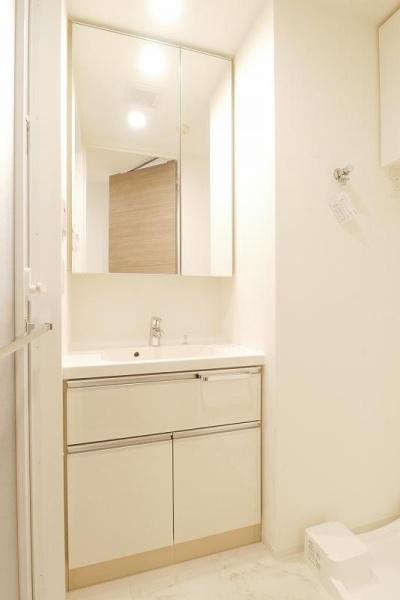 PREMIUM CUBE大井町＃mo[167601-5430c]【センチュリー21】